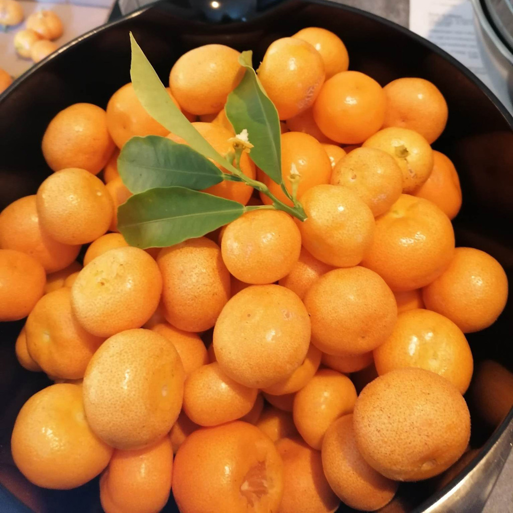 Confiteret mini mandariner - kumquat